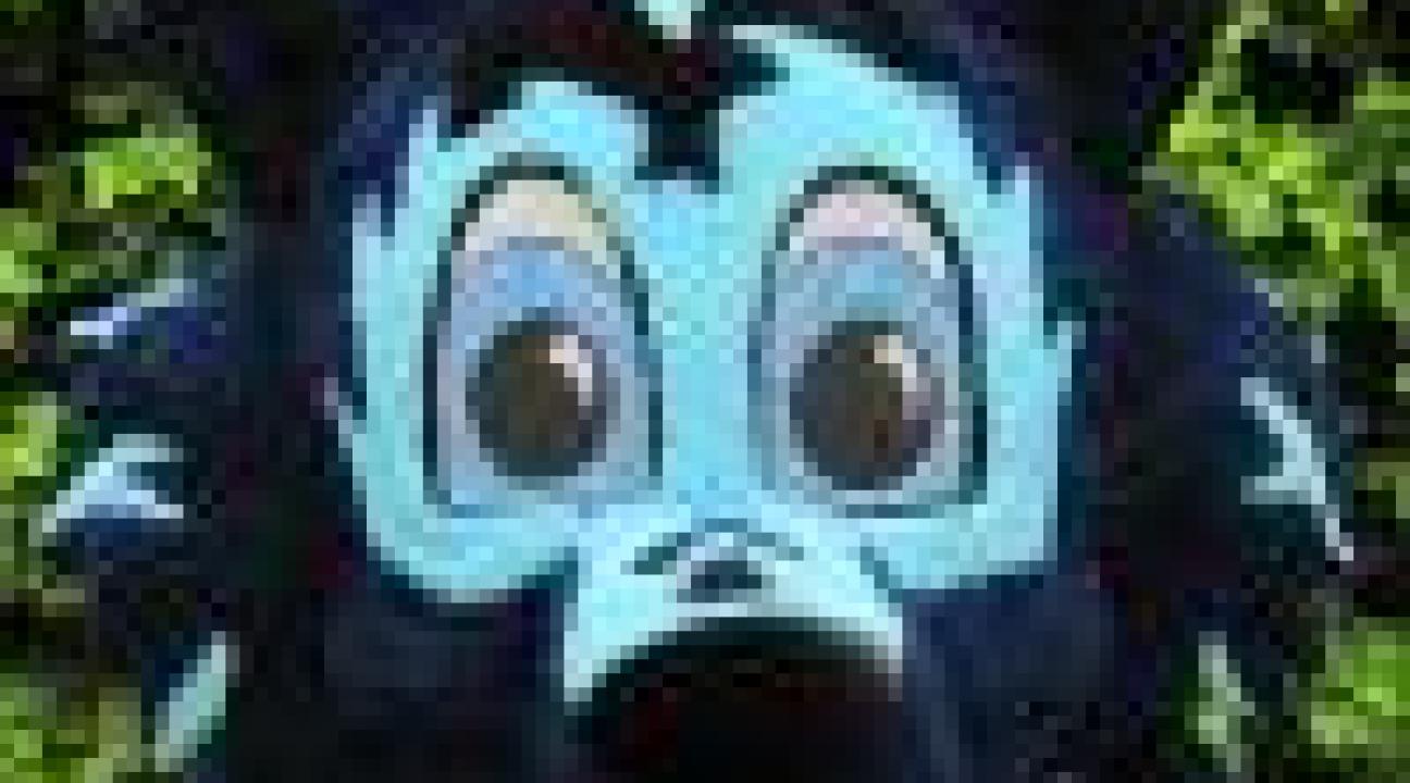 Sample Article | Foundation at Sonoma State University